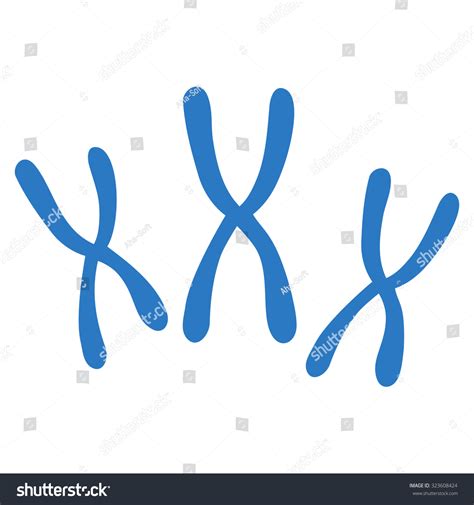 Chromosomal Over 60721 Royalty Free Licensable Stock Vectors And Vector