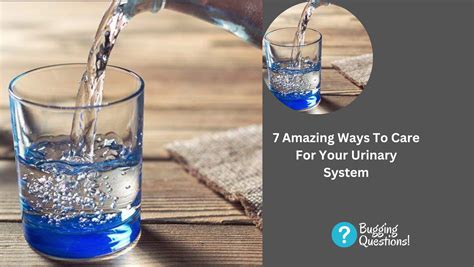 7 Amazing Ways To Care For Your Urinary System Here Is What To Know
