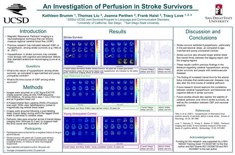 An Investigation Of Perfusion In Stroke Survivors Kathleen Brumm 1