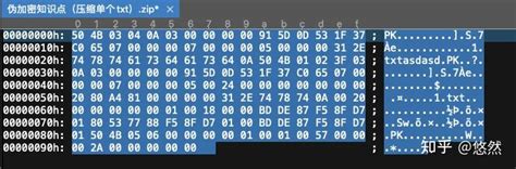 zip伪加密知识点 知乎