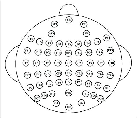 The Scalp Distribution Of The Electrodes Used In Our Experiment Download Scientific Diagram