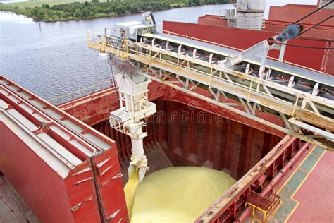 Loading Terminal For Loading Bulk Cargo Of Chemical Sulphur To Sea Bulk Carriers Using A Shore