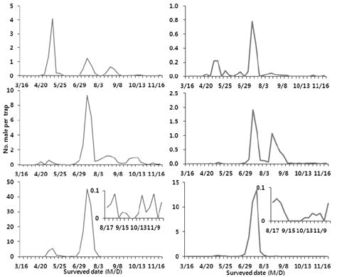 Seasonal Fluctuations In Male Pseudococcus Cryptus Caught On A Sex