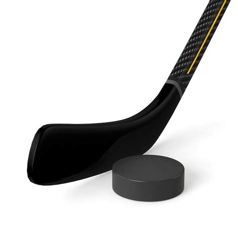 하키 스틱과 퍽 3d 모델 17 C4d Max Fbx Obj Free3d