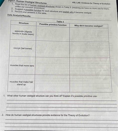 Solved Part F Human Vestigial Structures Hsl Lab Evidence For Theory Of Evolution 1 Read The