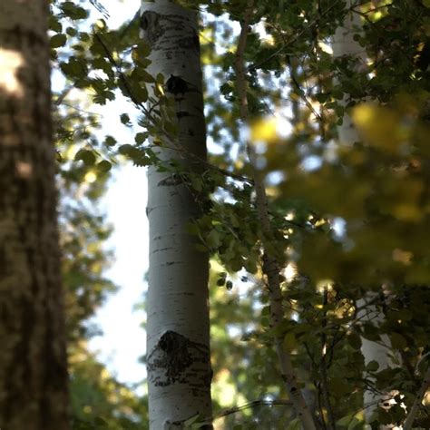 Scanslibrary Scanslibrary Added A New Photo