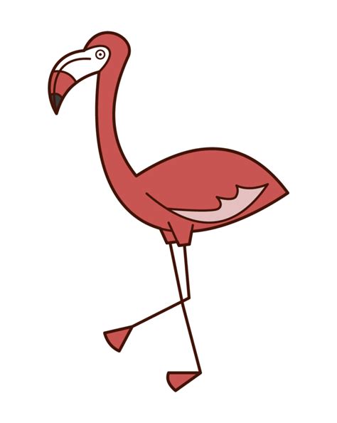플라밍고 일러스트레이션 무료 일러스트 소재집 Kukukeke
