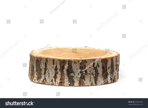 Cross Section Tree Trunk Isolated On Stock Photo Shutterstock