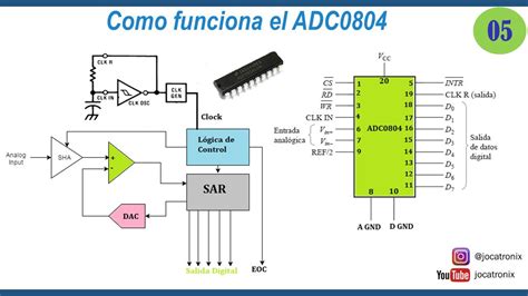 05 Como Funciona El 👉 Adc0804 Youtube