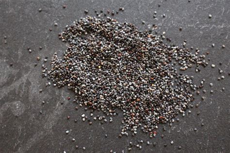 파란 양 귀 비 씨앗 건강 식품 천연 슬레이트 검은색에의 사진을 닫습니다 0명에 대한 스톡 사진 및 기타 이미지 0명 건강한 생활방식 건강한 식생활 Istock