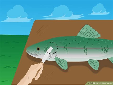 How To Fillet Trout 14 Steps With Pictures WikiHow