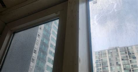 전 세입자가 실내 흡연을 해서 집 상태가 끔찍했는데 너무너무 꼼꼼하게 잘 청소해주셨어요 ㅠㅠㅠ 숨고 숨은고수