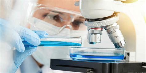 Singapore Invests In Lab Grown Fish IntraFish Com