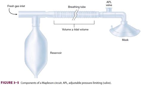 Components Of Mapleson Circuits