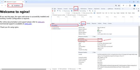 Nginx 动态模块 李钟意讲前端