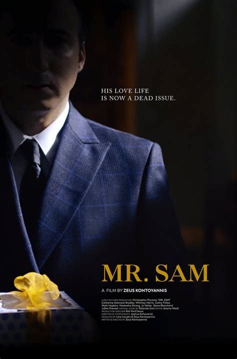 Mr Sam 2019 Filmflowtv