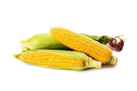 Premium Photo Ear Of Corn
