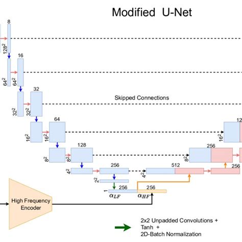architecture of the modified u net with high frequency encoder during