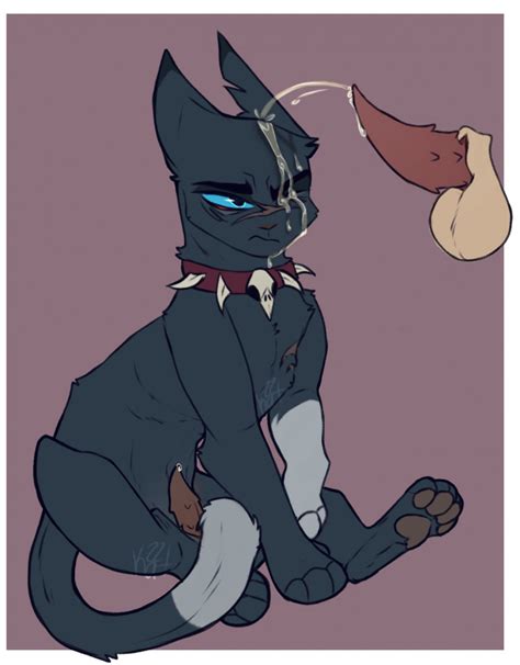 Rule 34 Animal Genitalia Animal Penis Bodily Fluids Collar Domestic