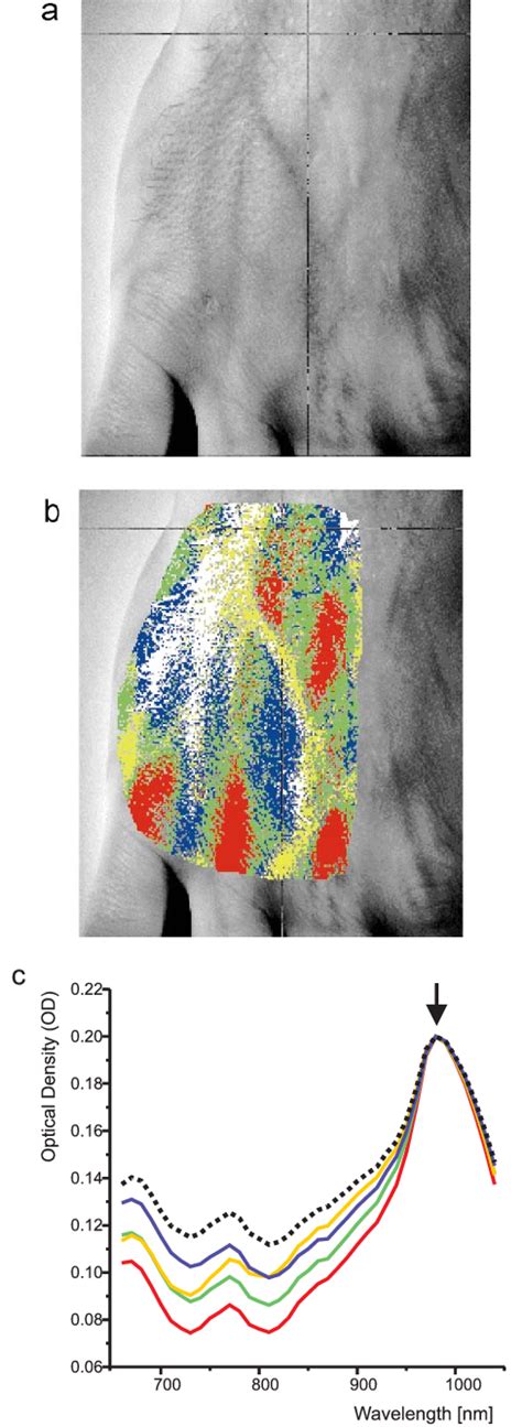Ac Results Of An Unsupervised Classification Fuzzy Cmeans Cluster Download Scientific Diagram
