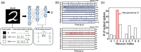A Schematic Of Mnist Classification Using A Ts‐based Neuron Gray Download Scientific Diagram