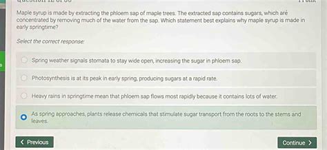 solved maple syrup is made by extracting the phloem sap of maple trees