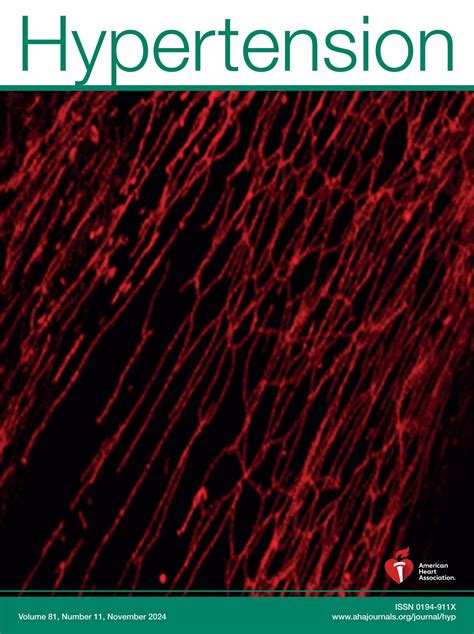 Sex Differences In Hypertension And Its Management Throughout Life
