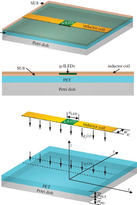 Schematic Illustration Of The M Iled Structure With Inductive Coil A