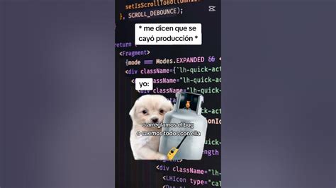Programacion Humor Coding Desarrollador Developer Software