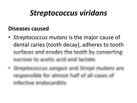 Solution Streptococcus Viridans Studypool