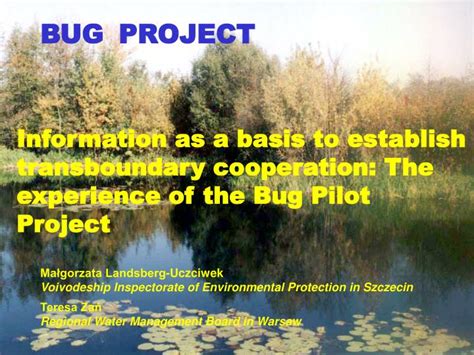 Ppt Bug Project Powerpoint Presentation Free Download Id6700771