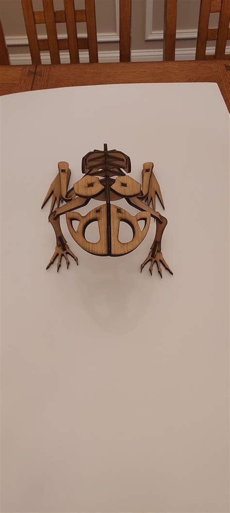 Frog Skeleton Kit Bone Frog Puzzle DIY Gift Etsy