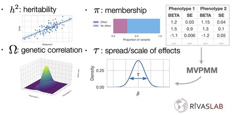 Gwas Summary Statistics · Github Topics · Github