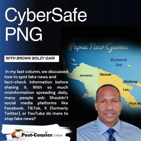 Combating Misinformation The Role Of Social Media And The Individual