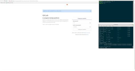 Forbidden Error On GitLab Fresh Installation Self Managed GitLab Forum
