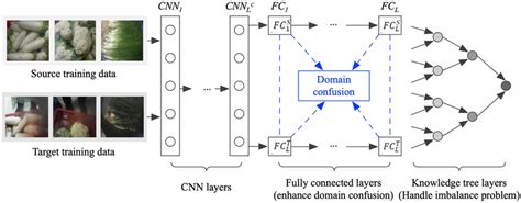Overall Cnn Network Tan Tree Adaptation Network For Download Scientific Diagram