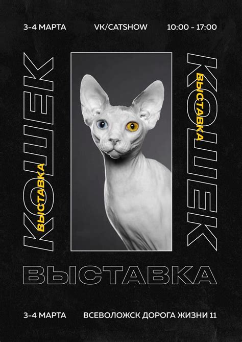 Graphic Design Discover Типографика и верстка Typography And Layout Работа Солтана Шохрадова