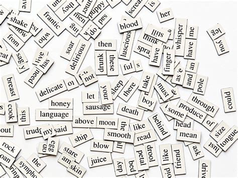 Digital Taxonomy Launches Automated Coding Tool News Research Live