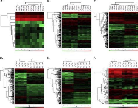 Figure 1 From High Throughput Mass Spectrometry And Bioinformatics Analysis Of Breast Cancer