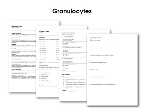 Granulocytes Made By Teachers