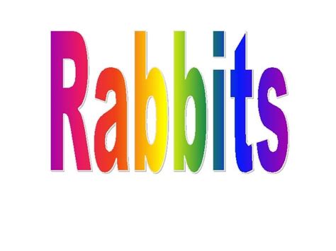 Kingdom Animalia Phylum Chordata Class Mammalia Order Lagomorpha