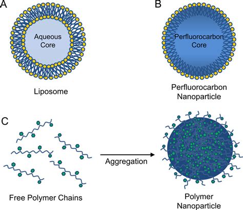 Lipids Polymer