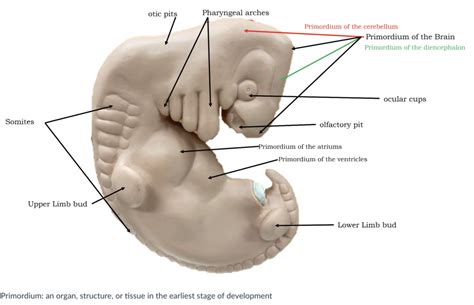 Molecular Geometry Diagram Quizlet