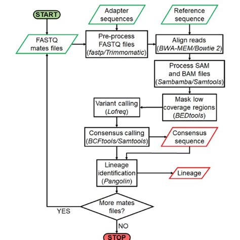 Flowchart Describing Processes And Steps Performed By HAVoC Pipeline Download Scientific