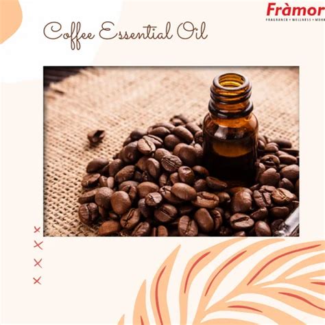 Coffee Diffuser Oil Packaging Size Bottle At Rs 5950 Bottle In Mumbai Id 25687574262