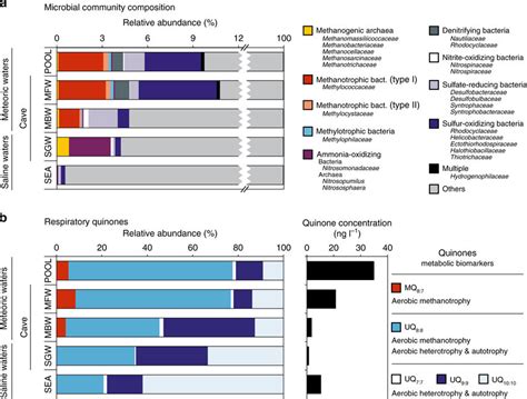Microbial Community Diversity Within The Subterranean And Surface Water