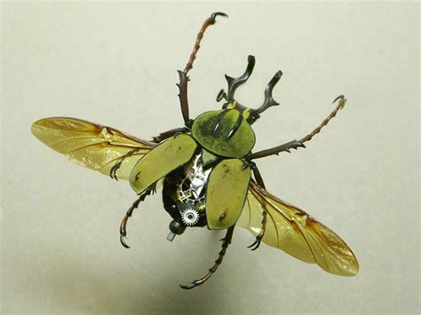 Discover The Impressive Bionic Insects From Insect Labs Photo Gallery