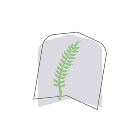 Aesthetic Leaf Organic Blobs Shape 17172051 Png