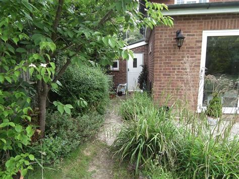 A New Patio For A New Extension Karen Holley Professional Garden Design And Creation