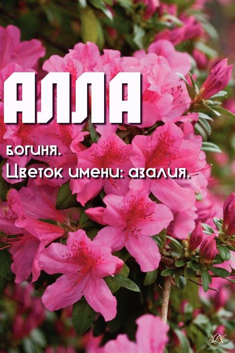 Пин от пользователя Alla Novika на доске День рождения Имена Празднование дня рождения Именины